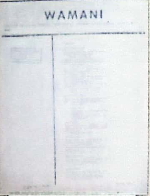 Revista Wamani - Colegio de Antropólogos de Ayacucho