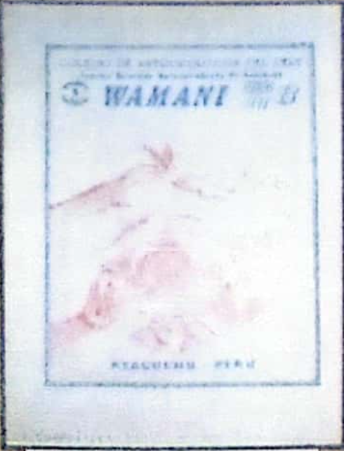 Revista Wamani - Colegio de Antropólogos de Ayacucho